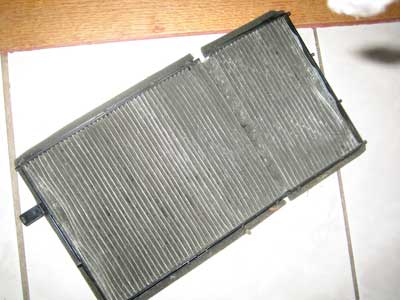 Mold in the Air Conditioner — How Serious Is It?